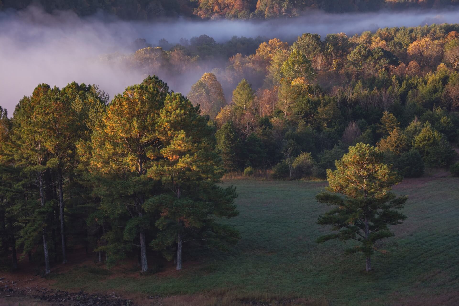 Seattle Obituaries - Edline - Yahn & Covington Funeral Chapel